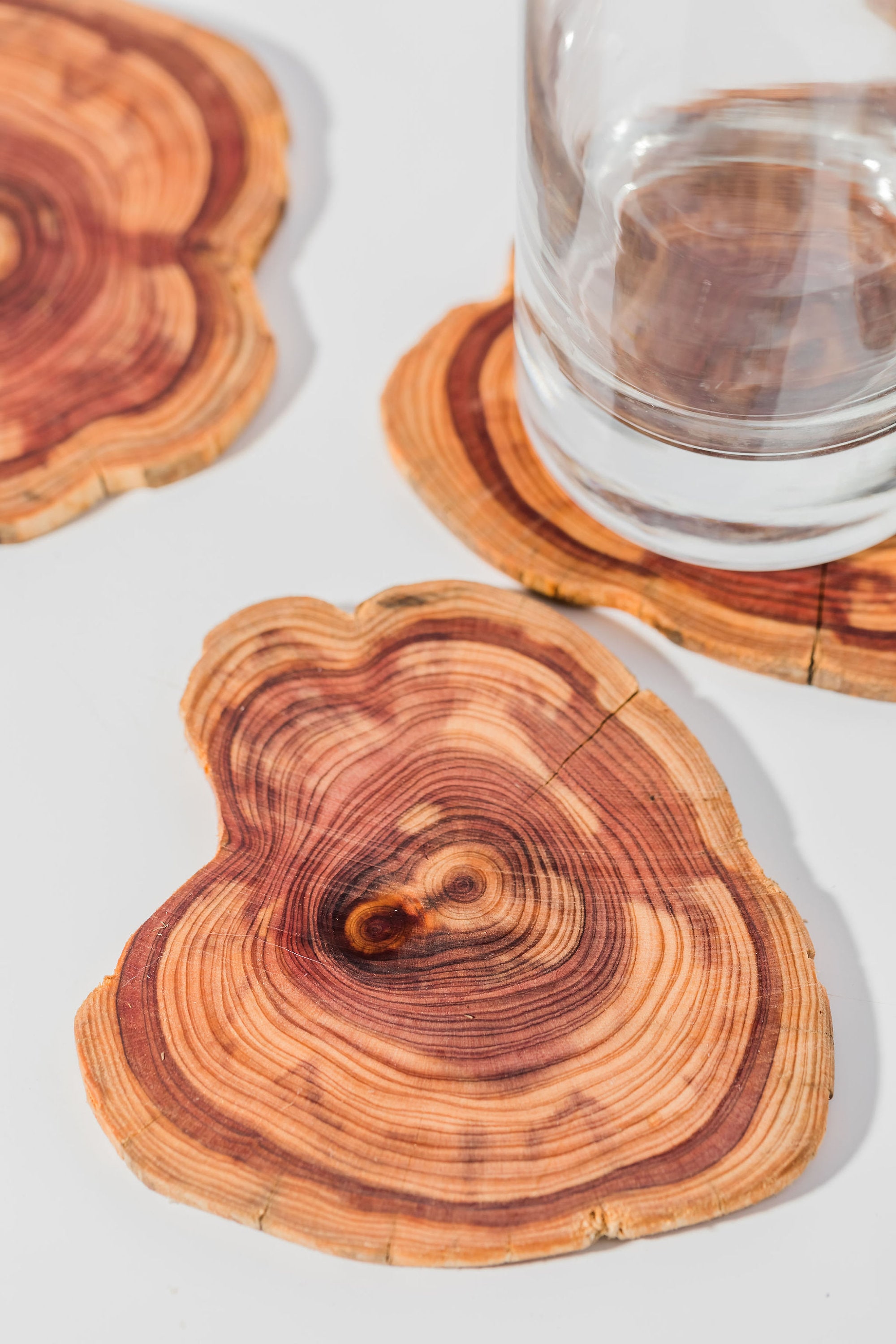 Red Cedar Wood Slice Coasters Rustic Tree Slice Wooden Coasters Custom ...