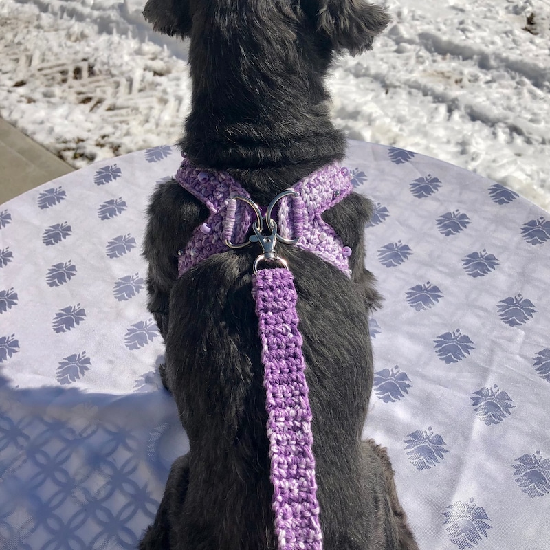 Crochet Harness - Etsy