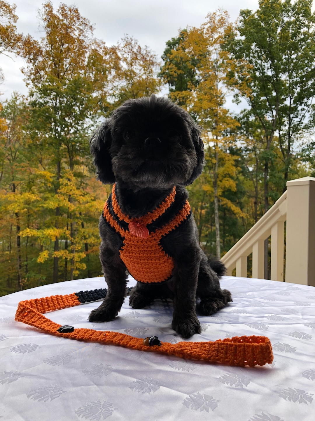 Halloween Dog Harness, Pet Leash, Soft Pet Harness, Puppy Harness, Cat ...