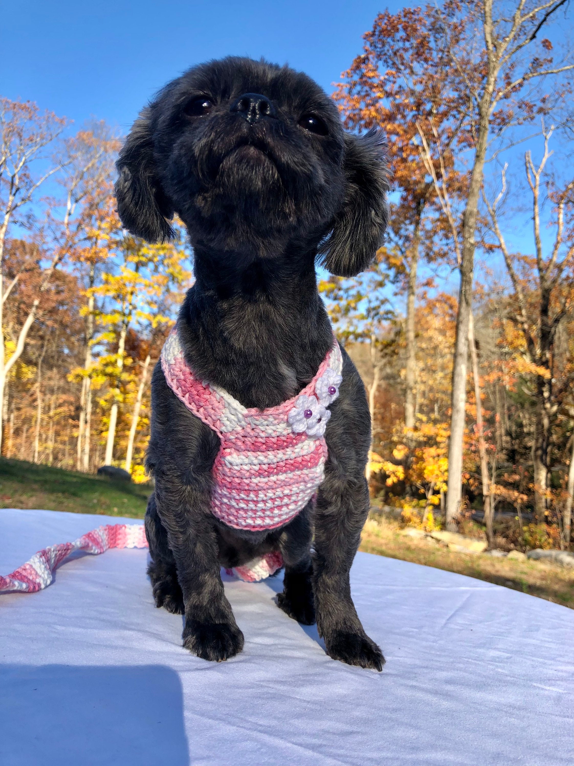 Crochet Dog Harness Pet Leash Soft Pet Harness Puppy - Etsy