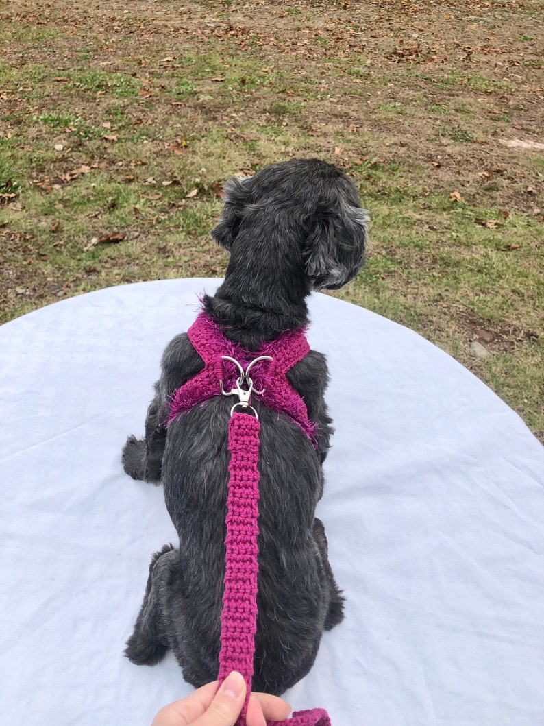 Dog Harness and Leash Set Pet Harness Puppy Harness Kitten | Etsy