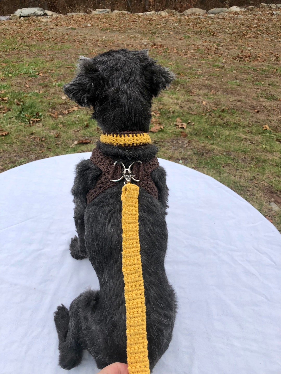Gehäkeltes Hundegeschirr und Leinen Set, Baumwollwelpen-Kätzchen ...