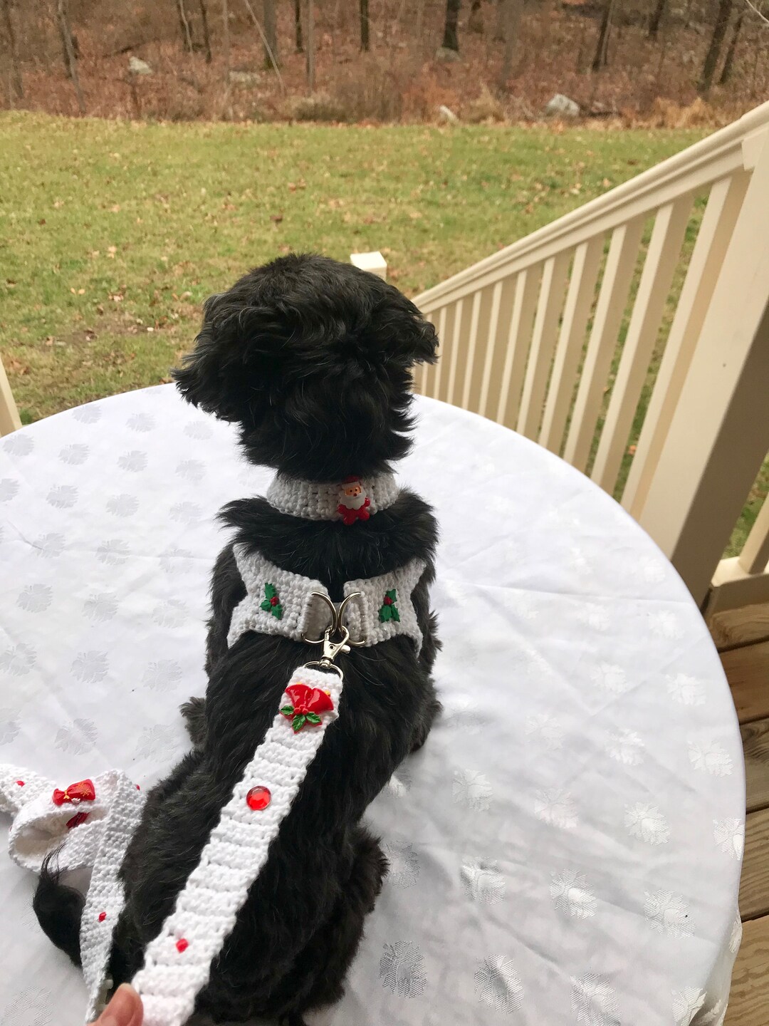 Crochet Dog Harness, Pet Leash, Soft Pet Harness, Puppy Harness, Kitten ...