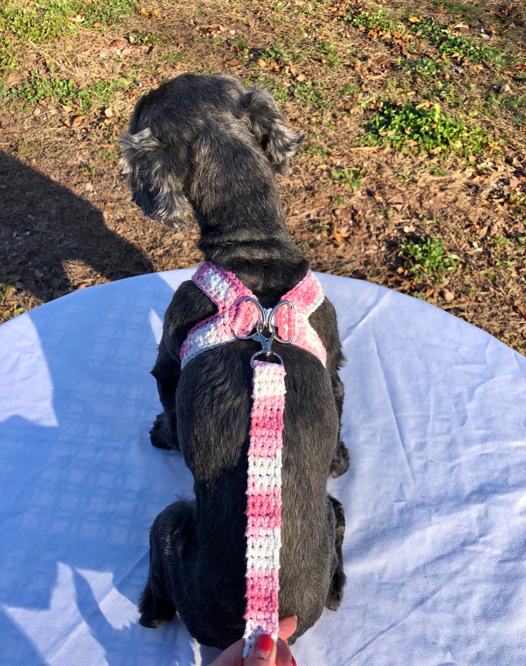 Crochet Dog Harness, Pet Leash, Soft Pet Harness, Puppy Harness, Kitten ...