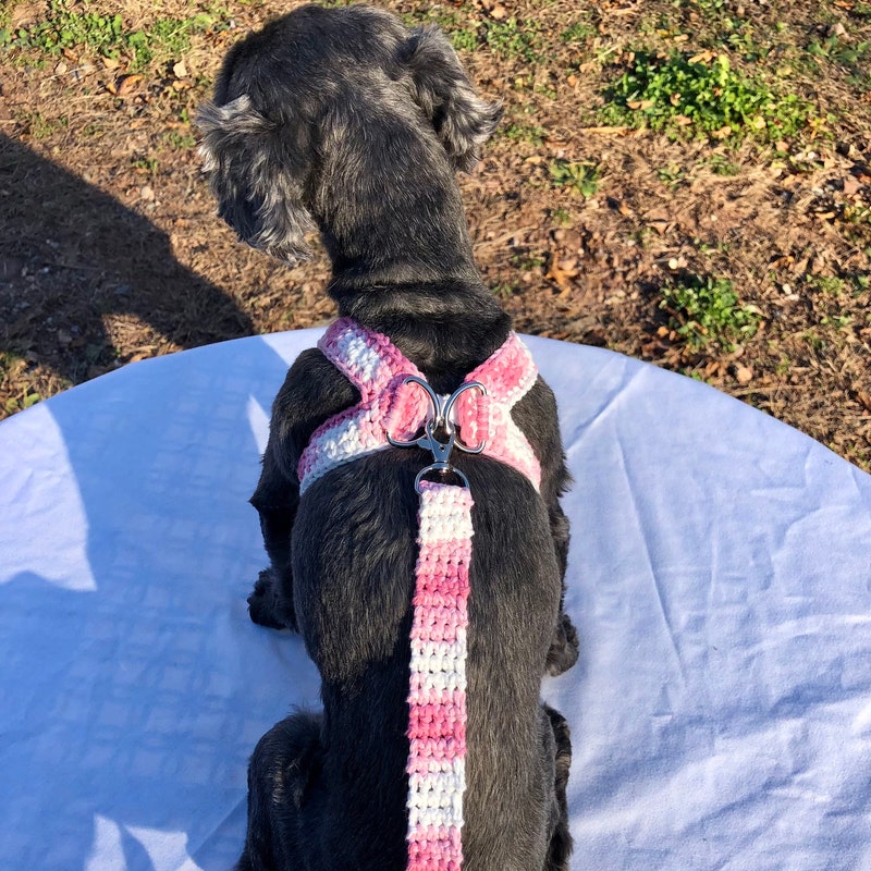 Crochet Harness - Etsy