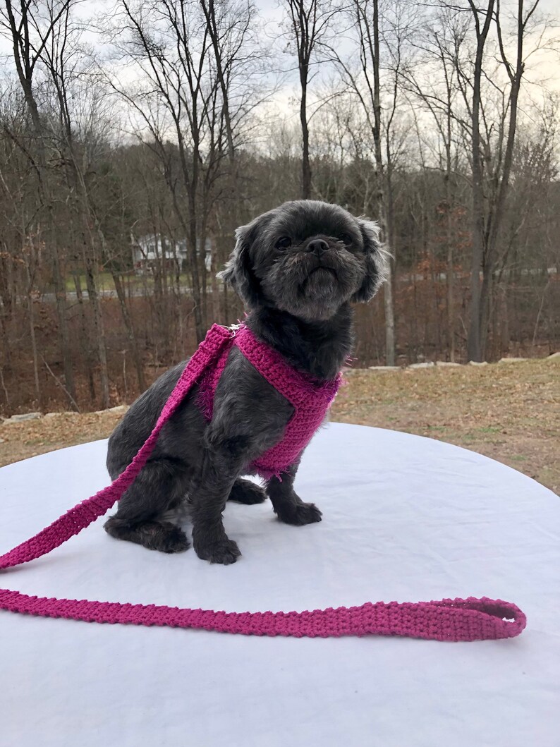 Dog Harness and Leash Set Pet Harness Puppy Harness Kitten | Etsy