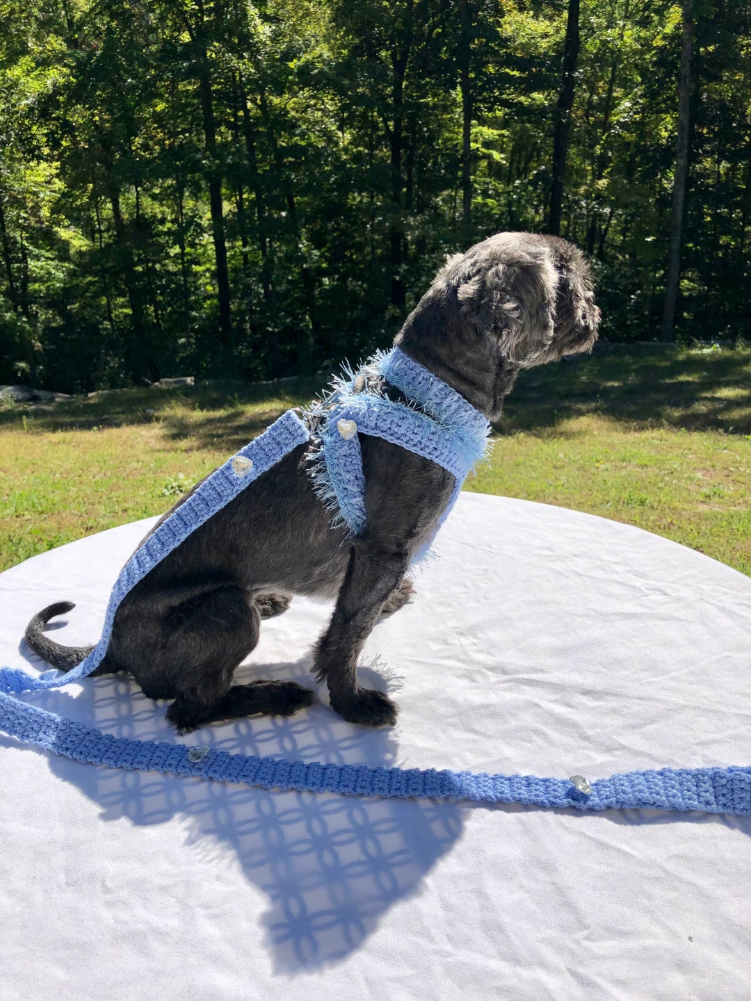 Crochet Dog Harness and Leash Set, Cotton Yarn, Puppy Kitten Harness - Etsy