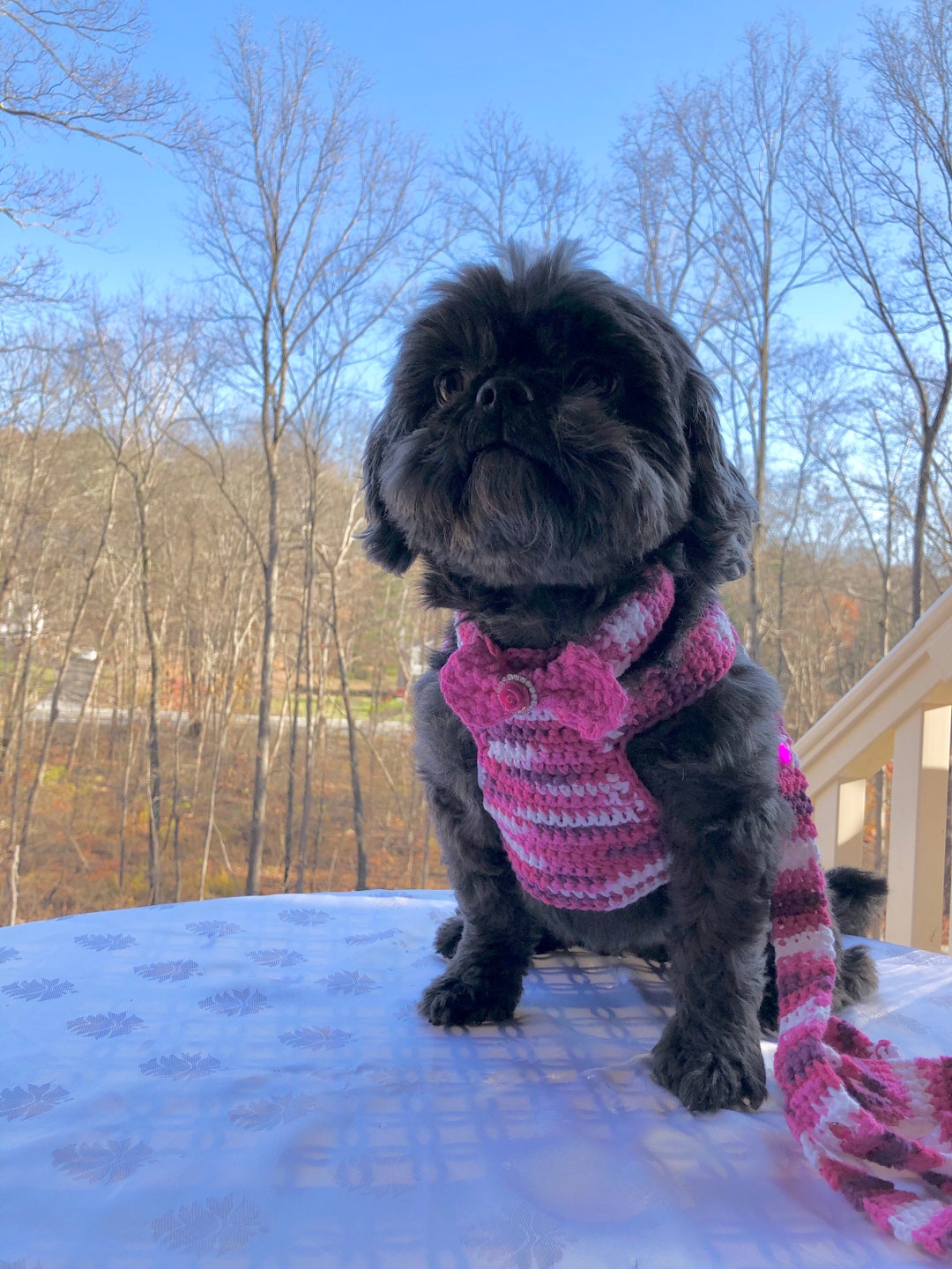 Dog Harness, Dog Leash, Soft Pet Harness, Puppy Harness, Kitten Harness ...