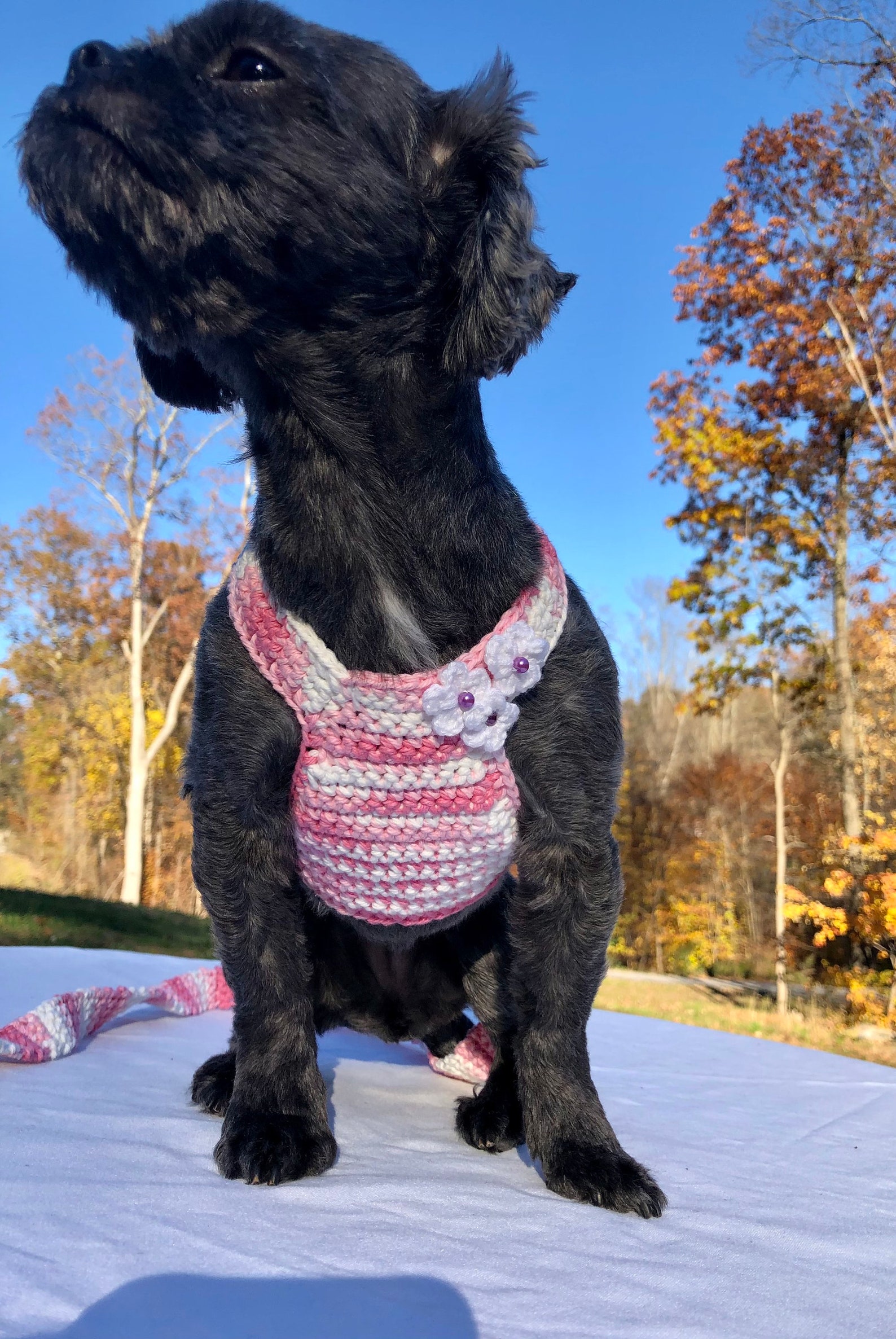 Crochet Dog Harness Pet Leash Soft Pet Harness Puppy - Etsy