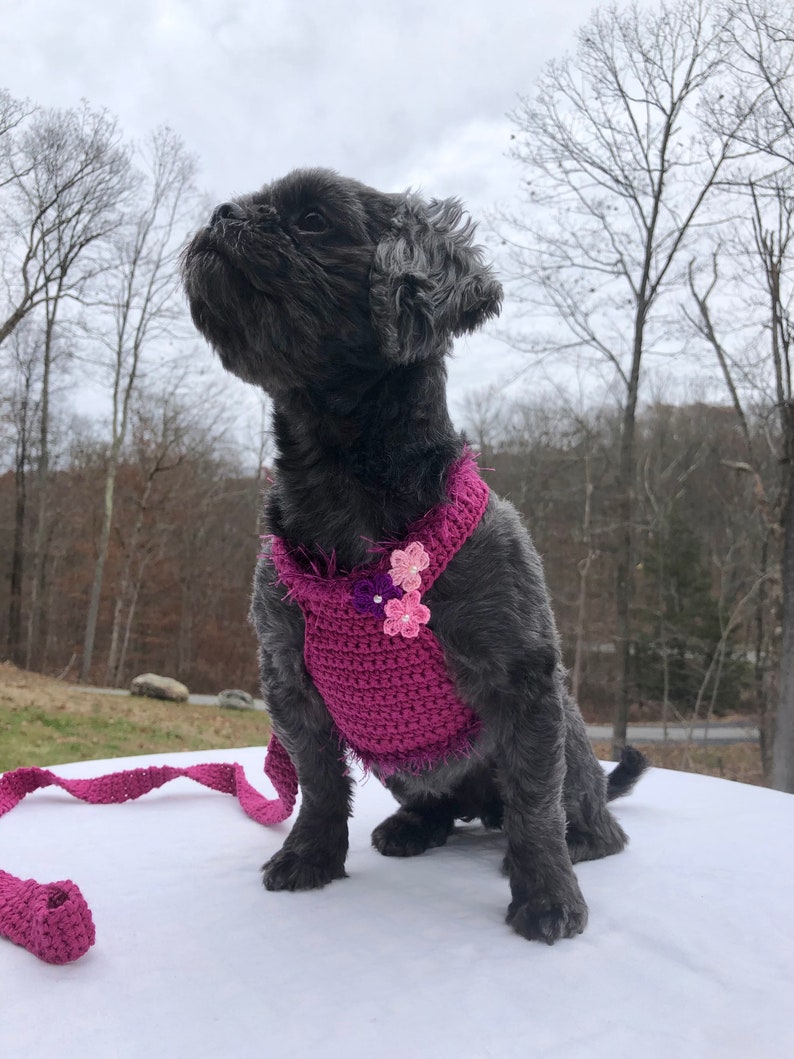 Dog Harness and Leash Set Pet Harness Puppy Harness Kitten | Etsy