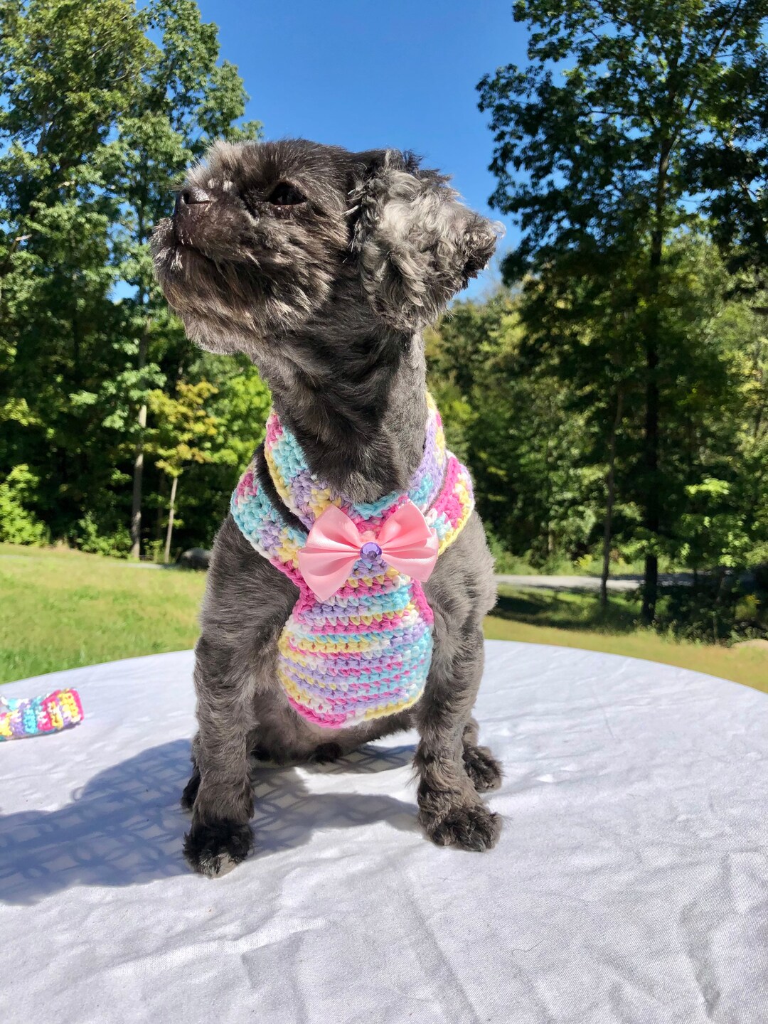 Dog Harness, Dog Leash, Soft Pet Harness, Puppy Harness, Kitten Harness ...