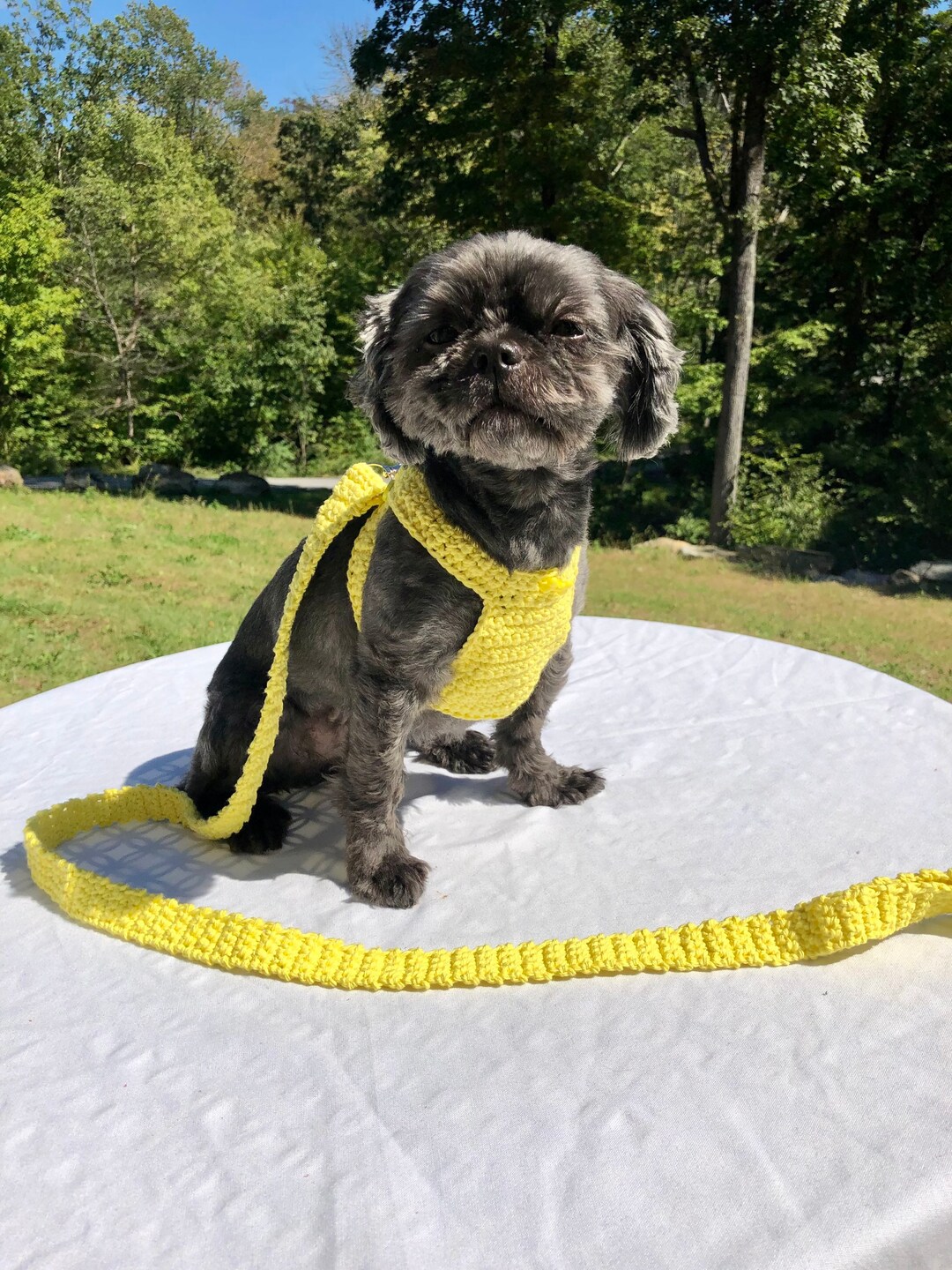 Dog Harness, Dog Leash, Soft Pet Harness, Puppy Harness, Kitten Harness ...