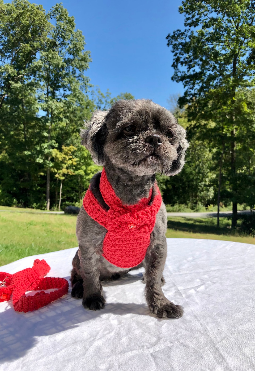 Red Dog Harness, Dog Leash, Harness and Least Set, Puppy Harness, No ...