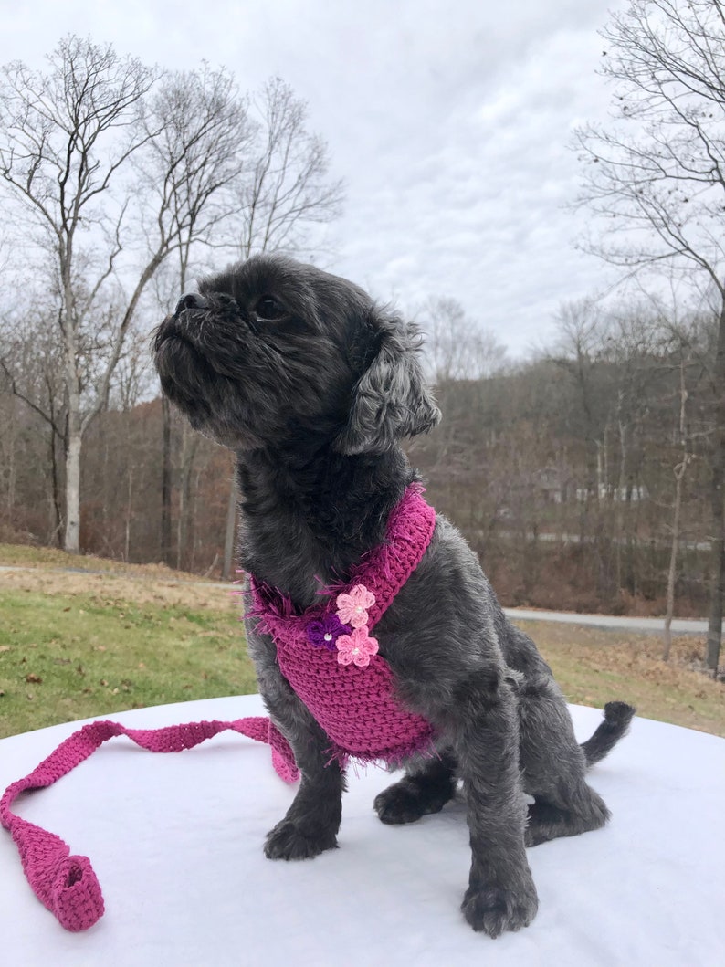 Dog Harness and Leash Set Pet Harness Puppy Harness Kitten | Etsy