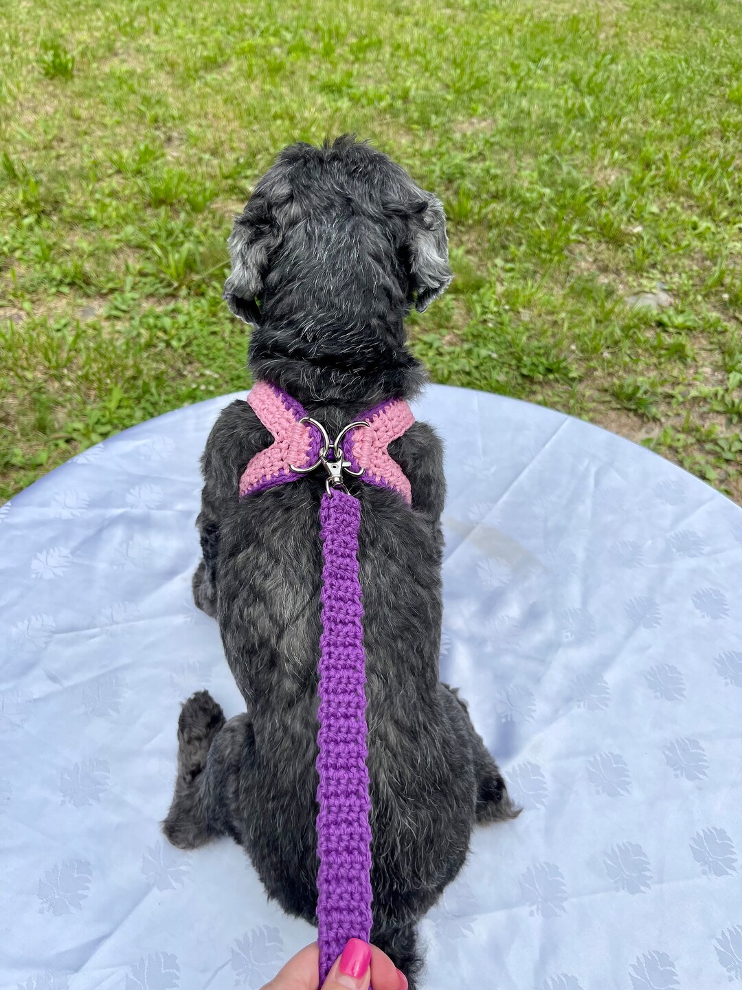 Crochet Dog Harness and Leash Set, Mini Puppy Kitten Harness - Etsy
