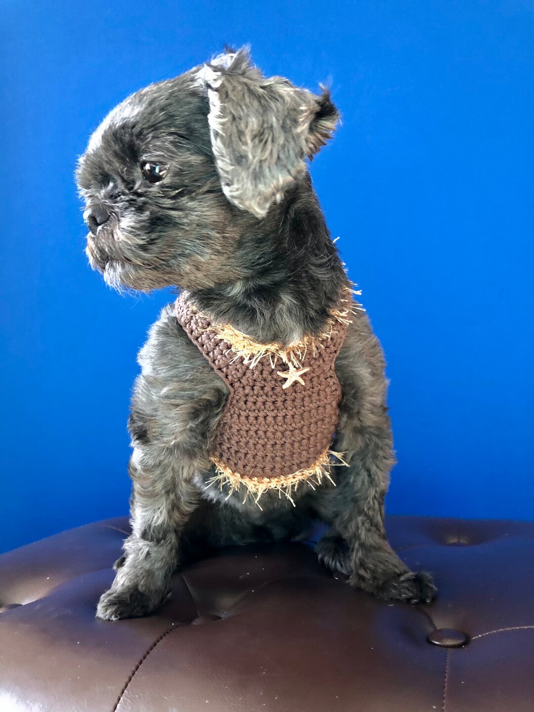 Dog Harness, Dog Leash, Soft Pet Harness, Puppy Harness, Kitten Harness ...