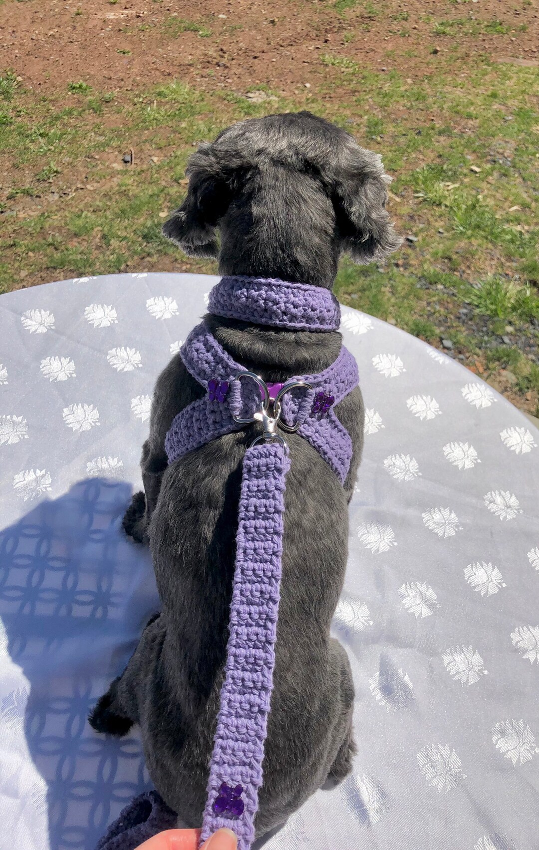 Dog Harness, Pet Harness and Leash Set, Kitten Harness, Crochet Harness ...