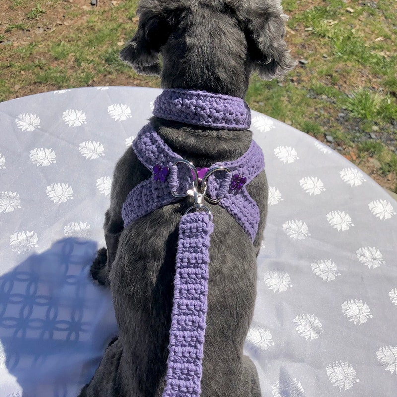 Crochet Harness - Etsy
