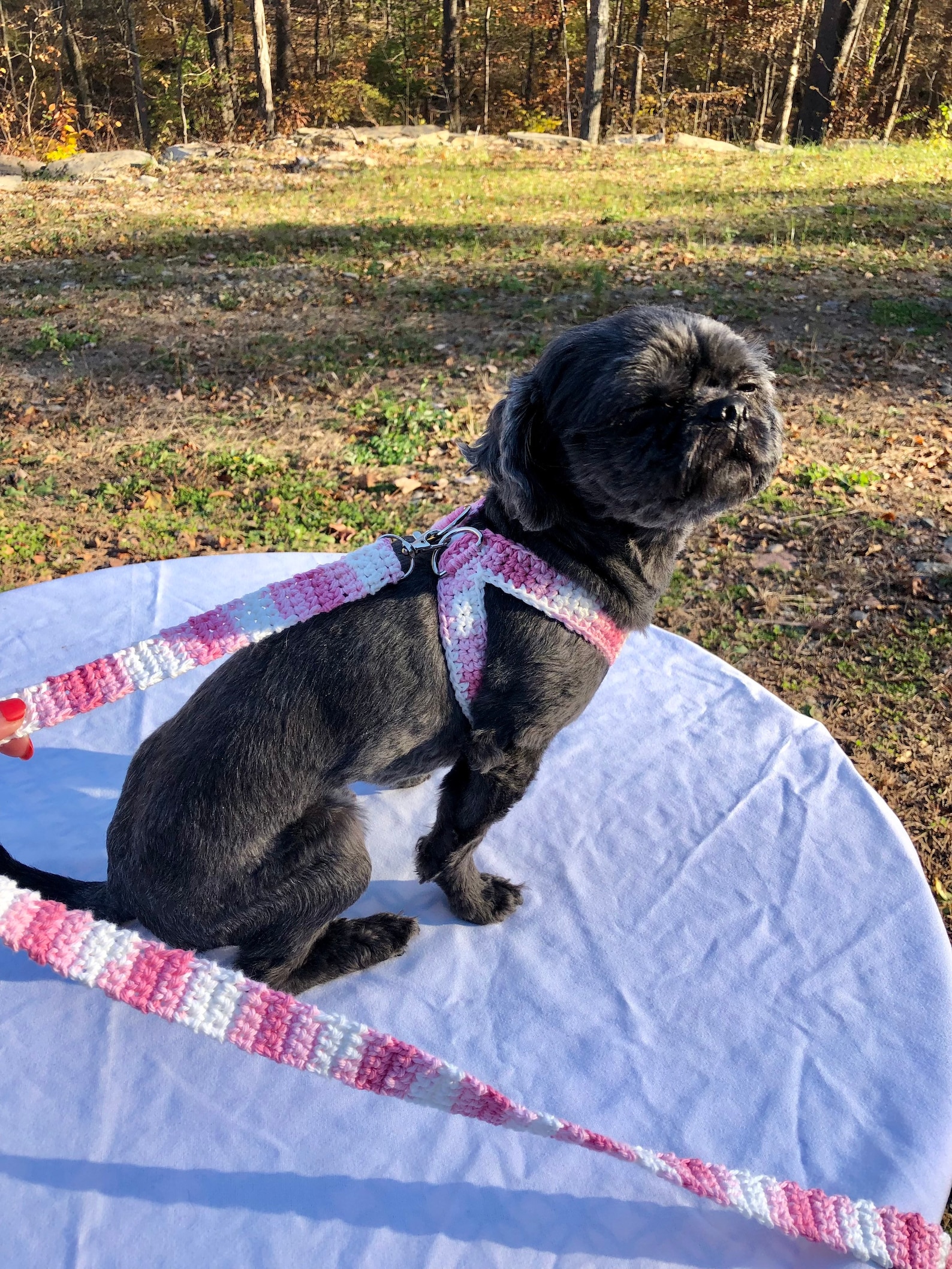 Crochet Dog Harness, Pet Leash, Soft Pet Harness, Puppy Harness, Kitten ...