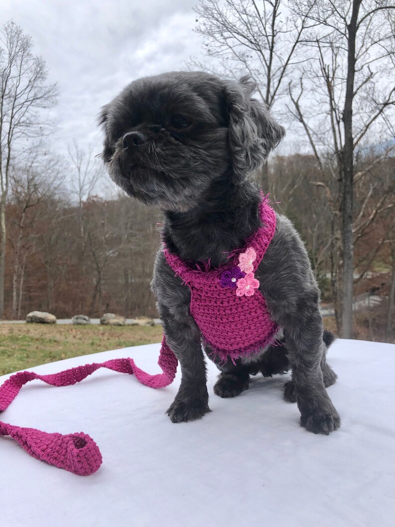 Dog Harness and Leash Set Pet Harness Puppy Harness Kitten | Etsy