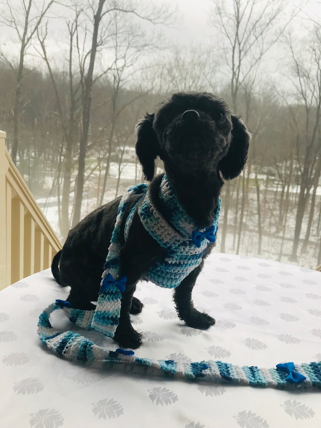 Dog Harness, Pet Leash, Soft Pet Harness, Puppy Harness, Kitten Harness ...