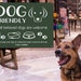 Dog Friendly Business Sign - Etsy UK