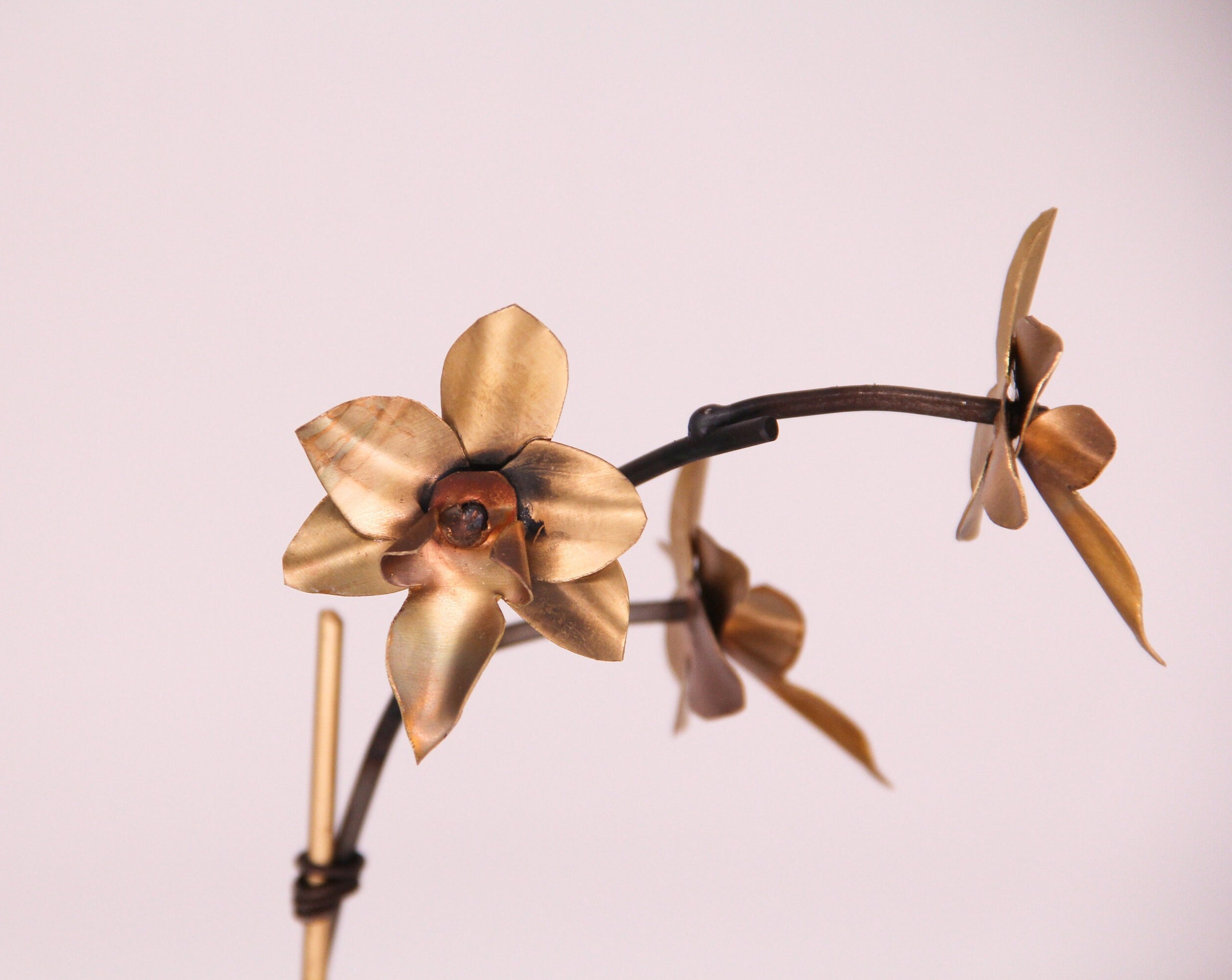 Orchid 2 Brass Metal Orchid Flower - Etsy
