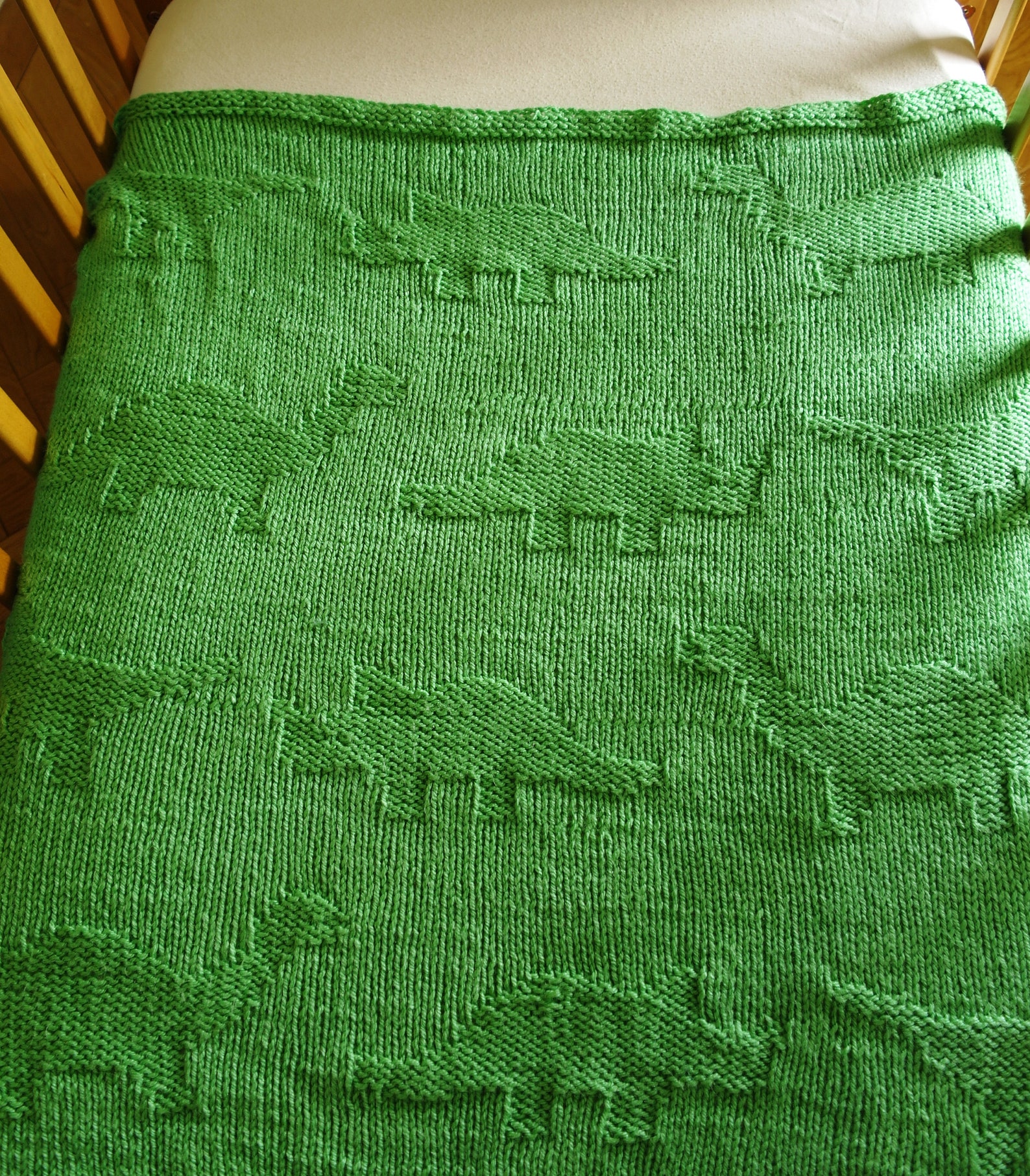Easy Baby Blanket Knitting Pattern / Dinosaur Baby Blanket / | Etsy