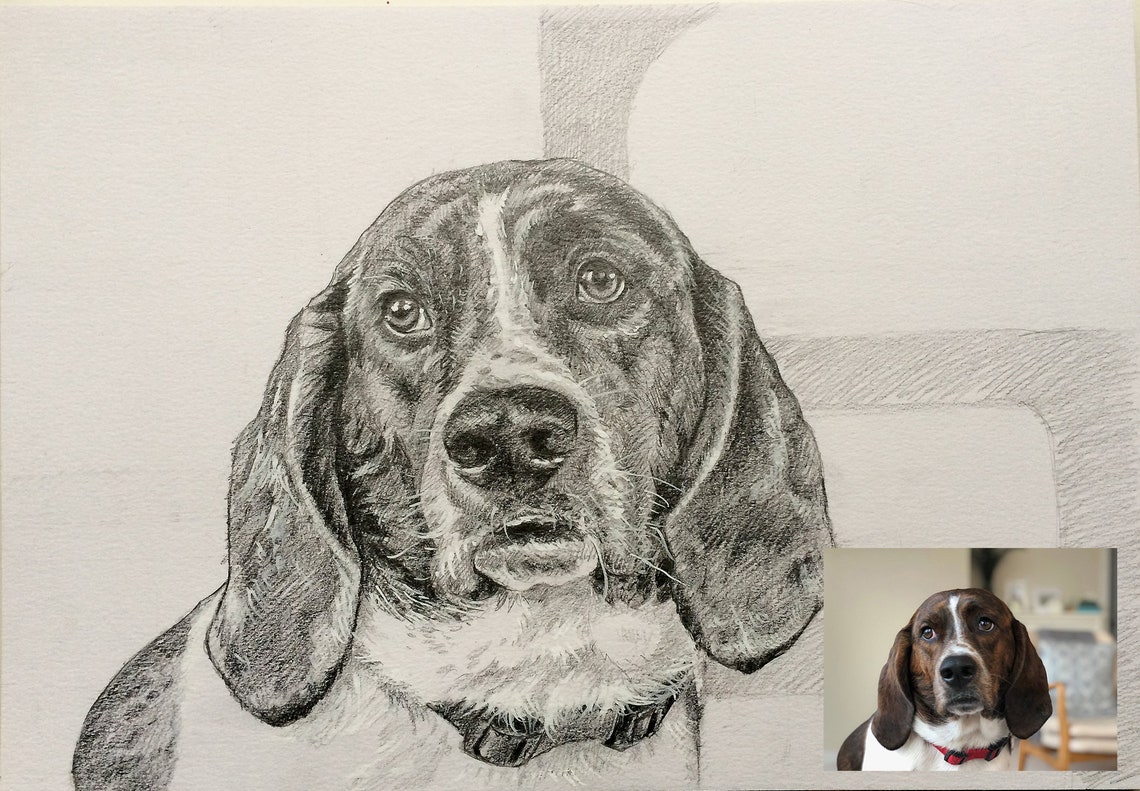 Custom Dog Drawing Custom Pet Portrait Pet Memorial Drawing - Etsy