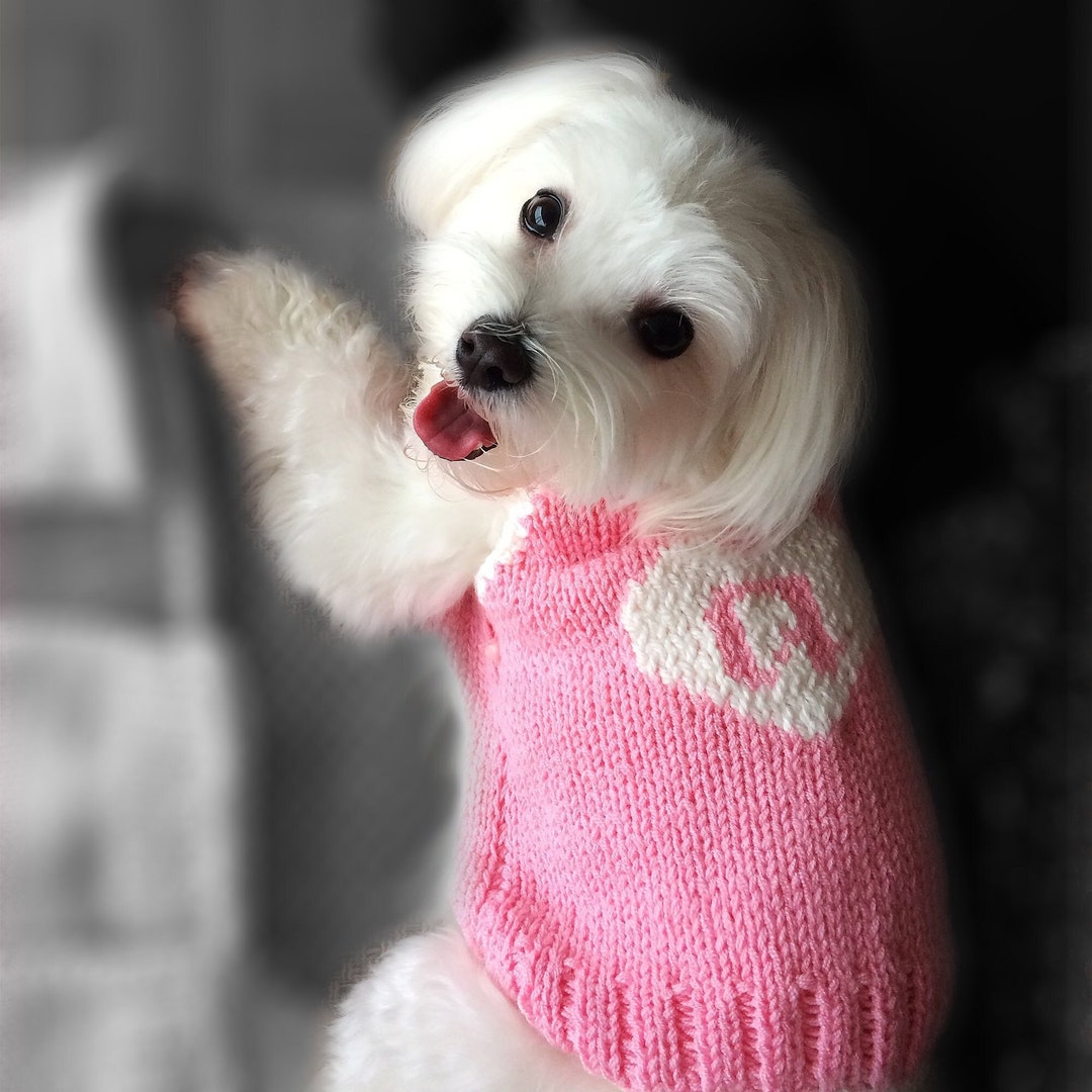 Personalized Knit Dog Clothes, Monogrammed Small Dog Sweater, Custom ...