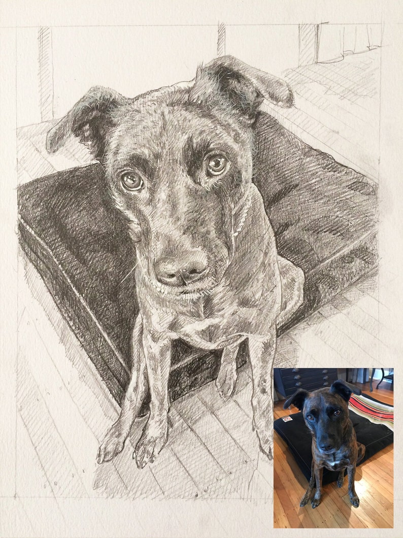 Custom Dog Drawing Custom Pet Portrait Pet Memorial Drawing - Etsy