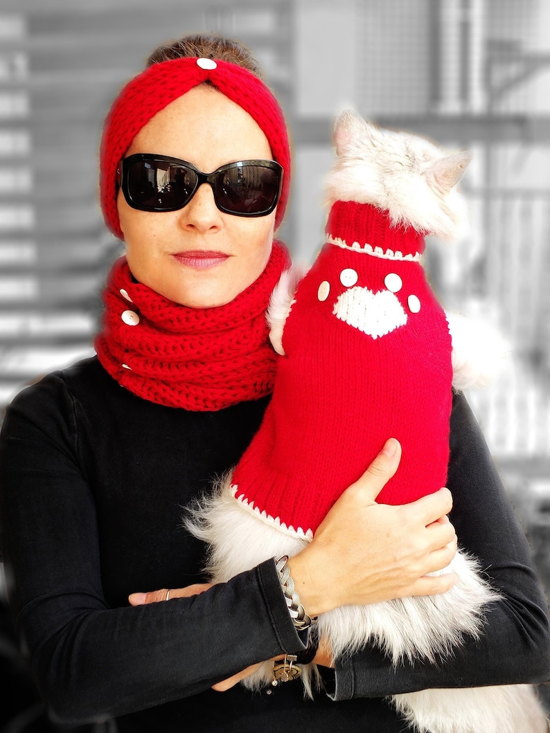 Red Sphynx Cat Sweater With Heart Motif, Paw Pattern Matching Clothes ...