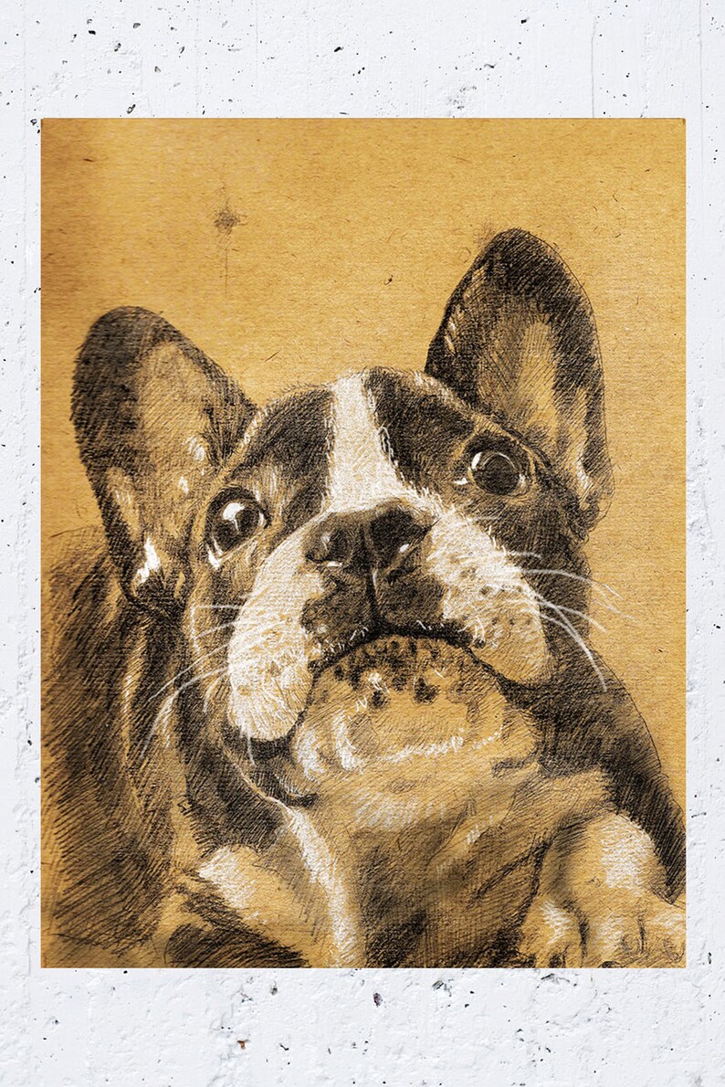 Custom Pet Drawing Pet Portrait Drawing With Charcoal Pencil | Etsy