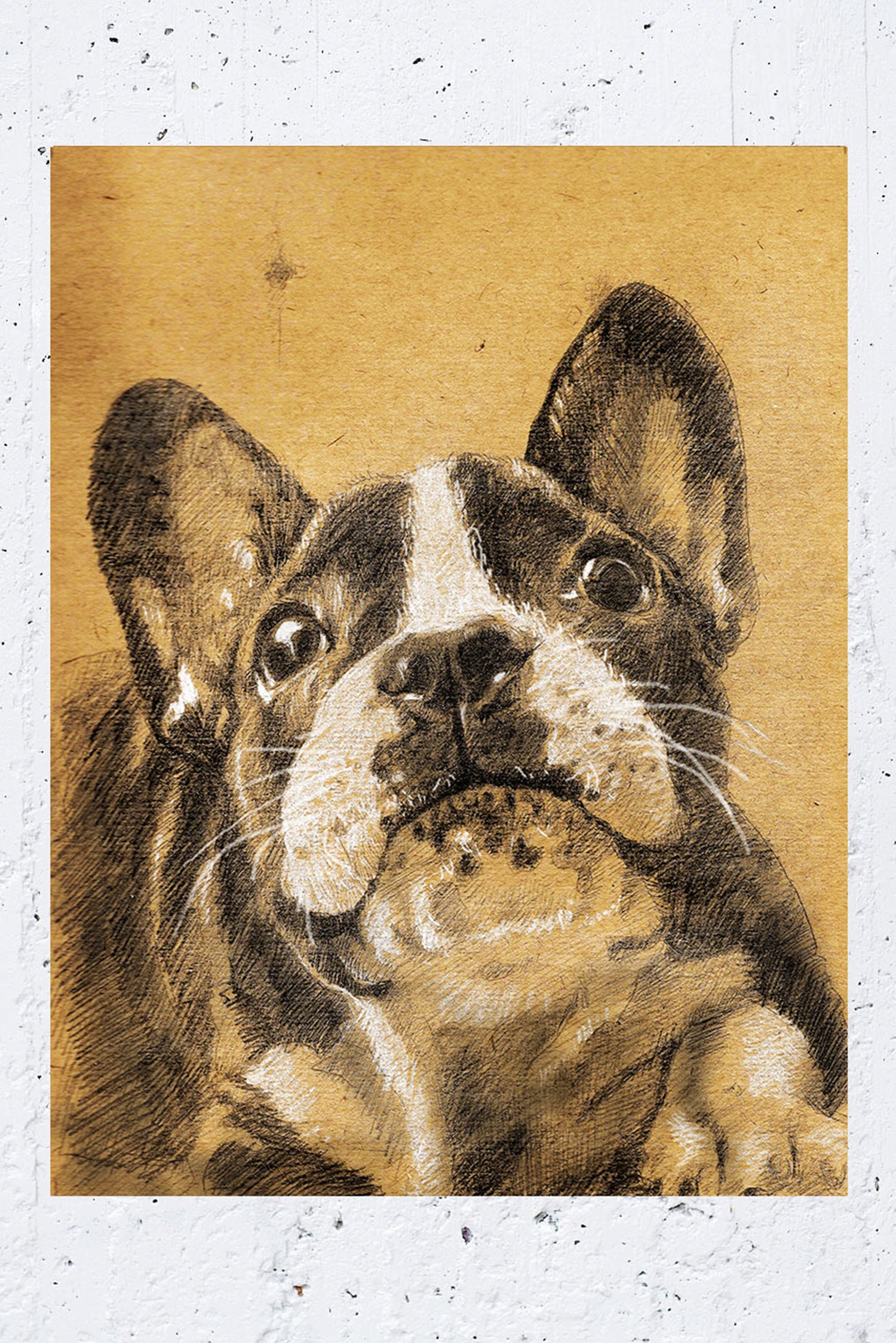 Custom Pet Drawing Pet Portrait Drawing With Charcoal Pencil | Etsy