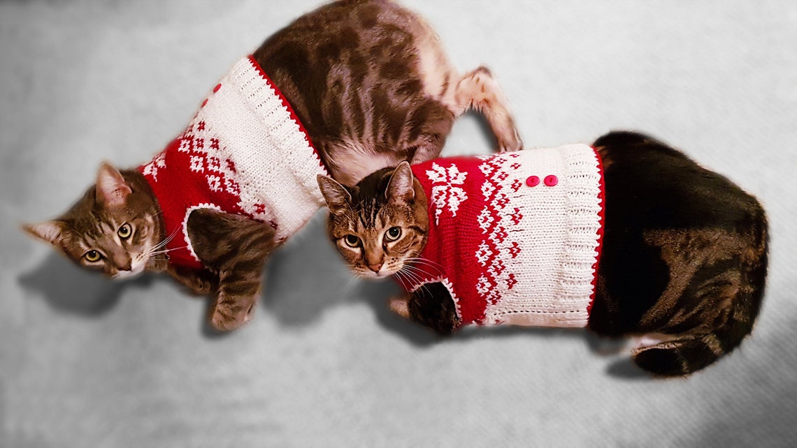 Snowflake Pattern Matching Sweater for Cats, Pet and Human Clothes, Red ...