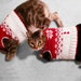 Snowflake Pattern Matching Sweater for Cats, Pet and Human Clothes, Red ...