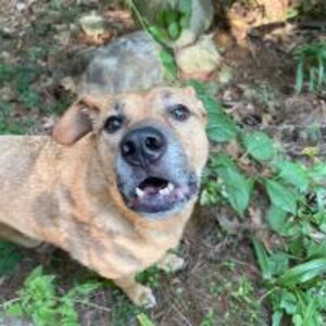 Embroidered Punk Rock Patch Mohawk Skull Pocket Custom Sew on Patches ...