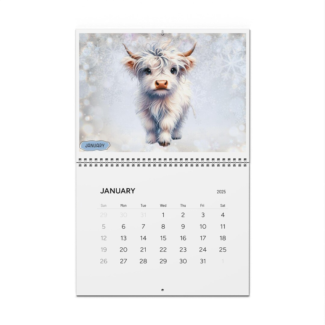 Funny Whimsical Highland Cow Wall Calendar, Cute Yearly Planner, Unique ...