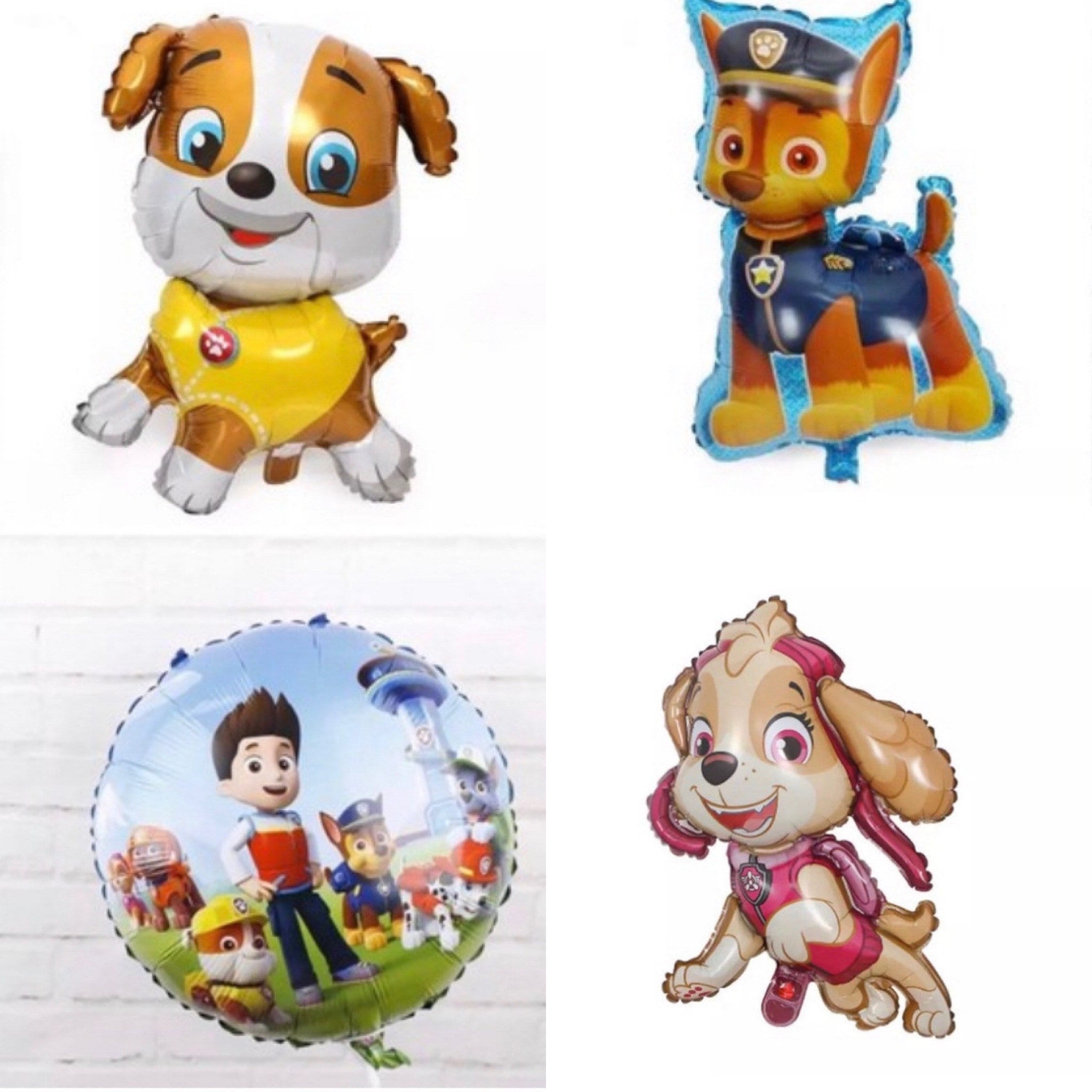 Paw Patrol Skye X Chase