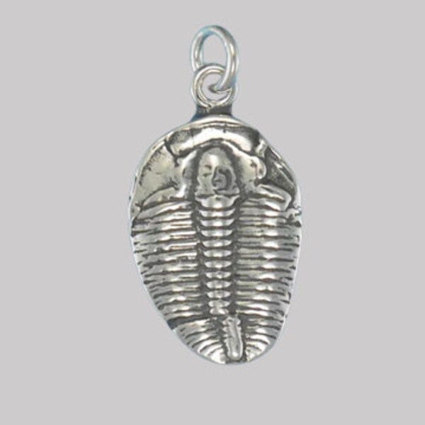 Trilobite Earrings - Etsy