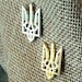Ukrainian & Polish Flag Lapel Pin Gold Flag Poland Ukraine Badge UAPL ...