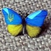 Ukrainian & Polish Flag Lapel Pin Gold Flag Poland Ukraine Badge UA+PL ...