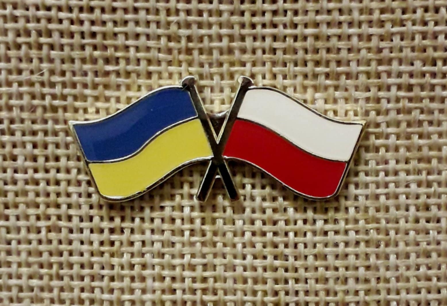 Ukrainian & Polish Flag Lapel Pin Gold Flag Poland Ukraine Badge UA+PL ...