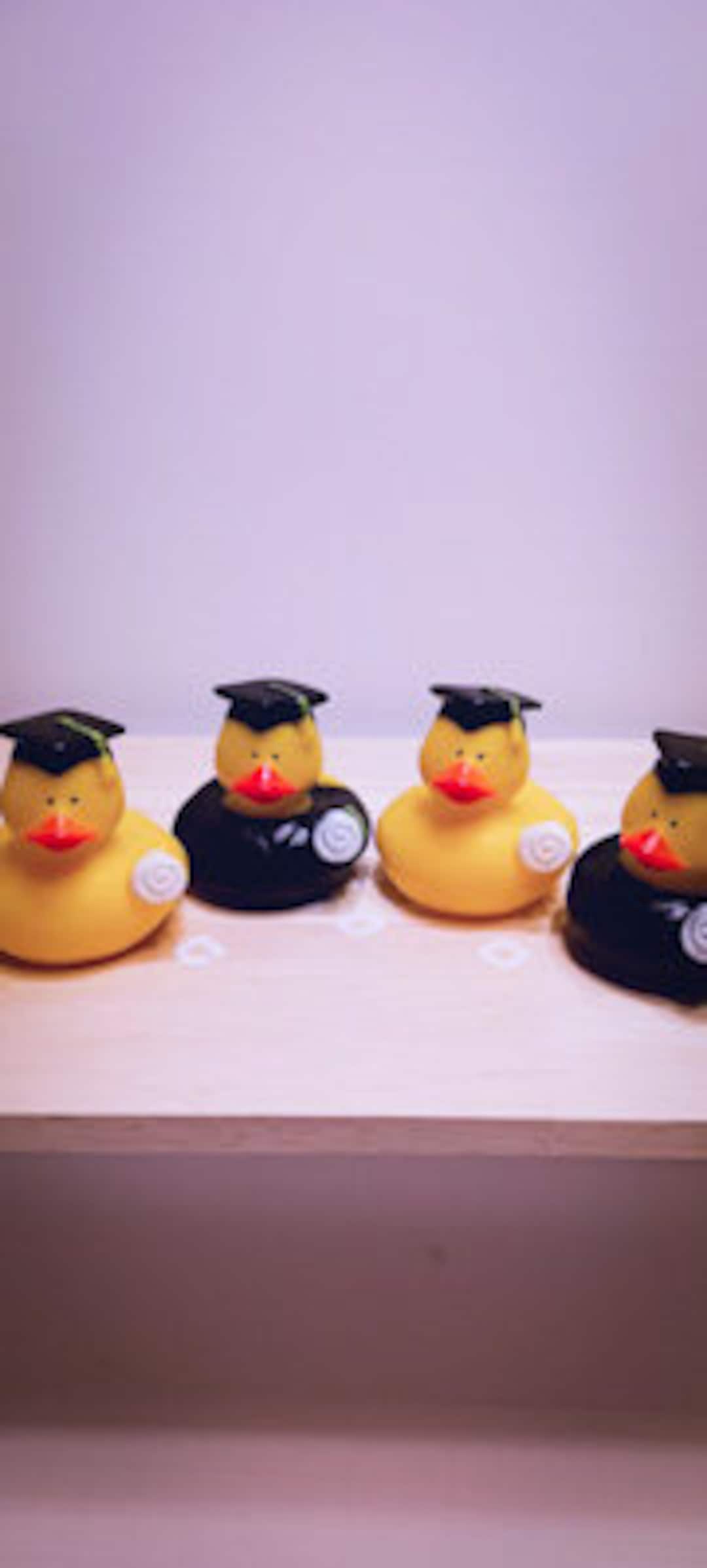 Rubber Ducks, Graduation Ducks, Graduation Party, Graduation Favors - Etsy