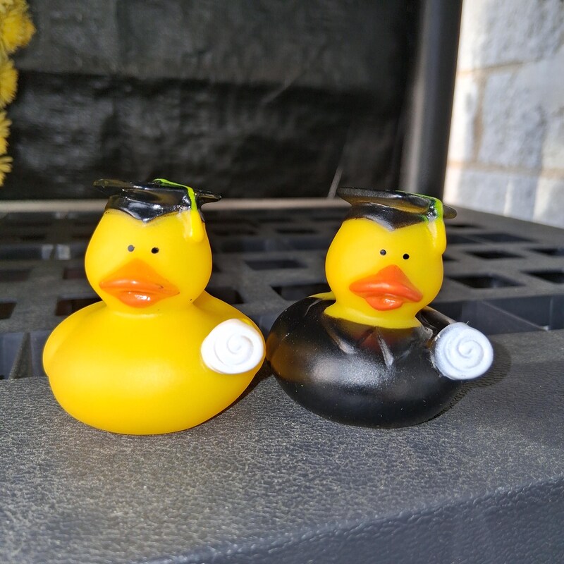 Graduation Rubber Ducks - Etsy