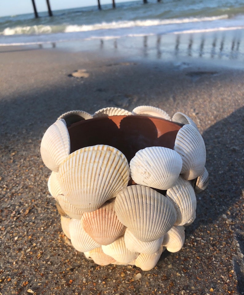 Seashell Planter Pot Plant Beach Decor Scallop Shell Pot - Etsy
