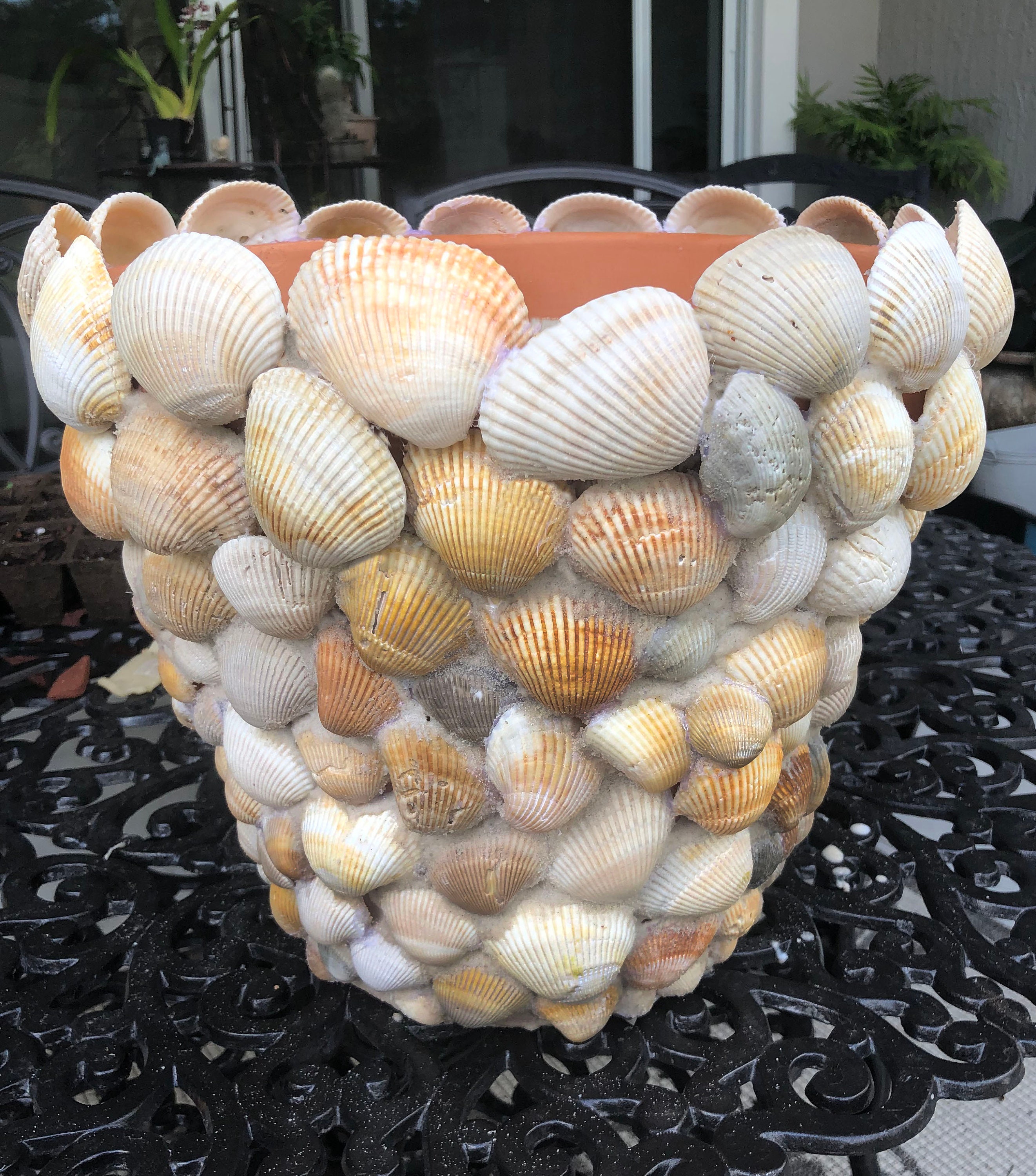 Large 12 Seashell Planter Pot Plant Beach Decor Scallop Shell Pot Terra ...