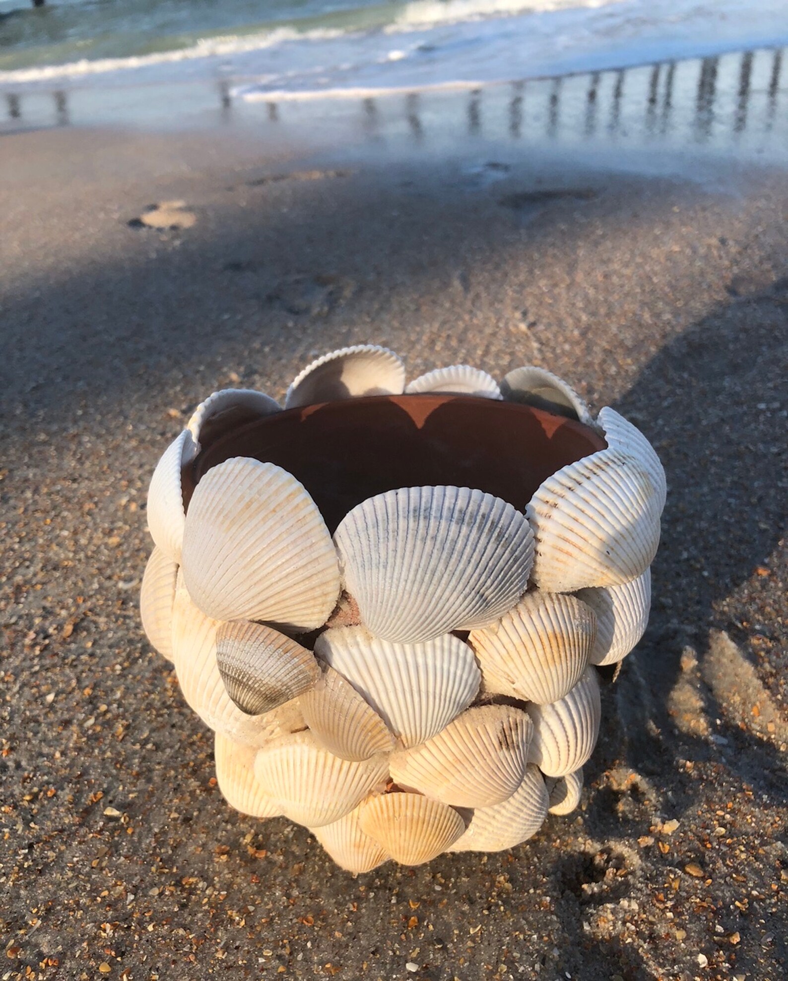Seashell Planter Pot Plant Beach Decor Scallop Shell Pot - Etsy