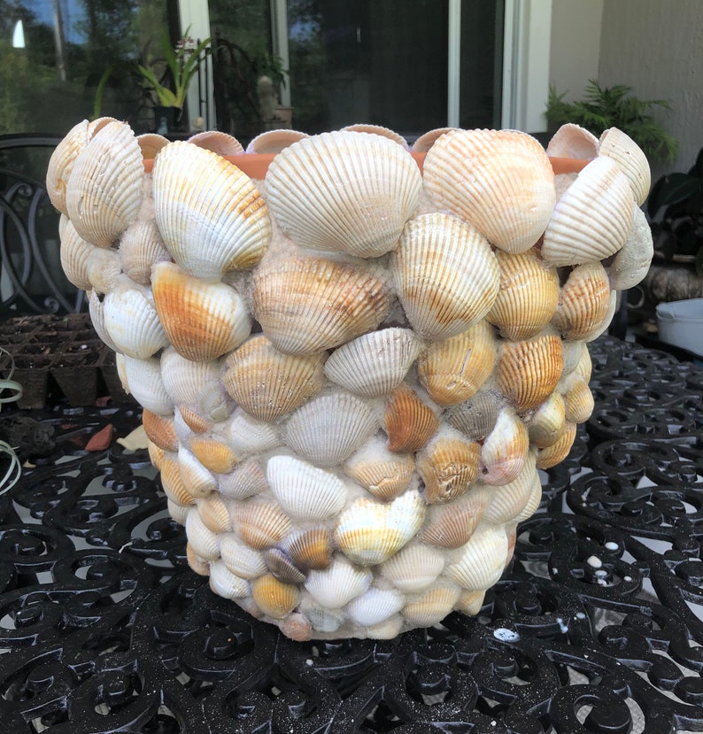 Large 12 Seashell Planter Pot Plant Beach Decor Scallop Shell Pot Terra ...
