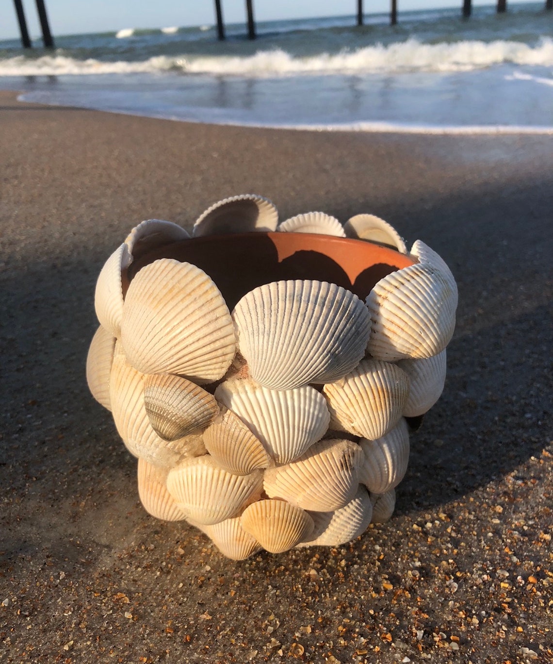 Seashell planter pot plant beach decor scallop shell pot | Etsy